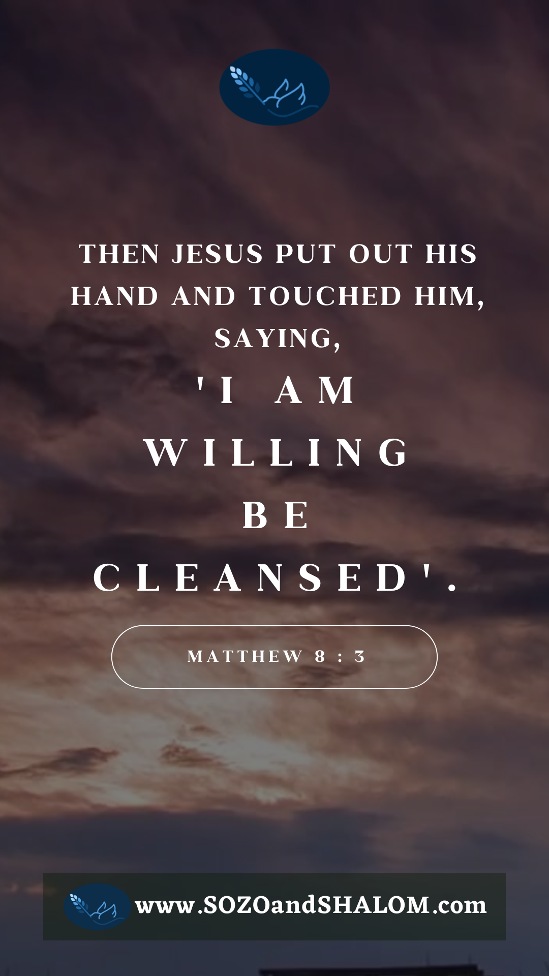 Matthew 8 : 3
